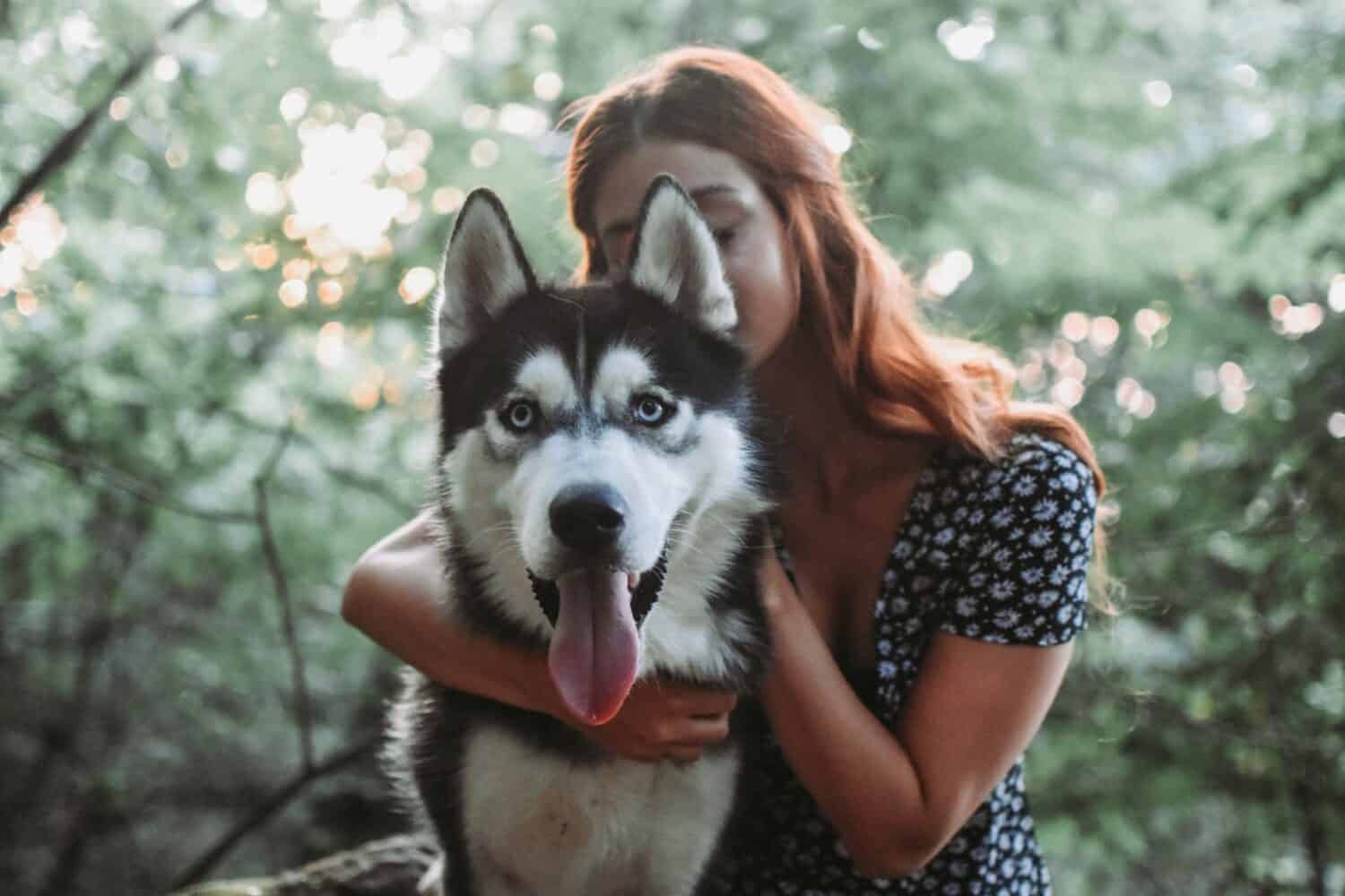 Top 5 Signs Your Dog Is Sick: What You Can Do | Cherry Creek Veterinary ...